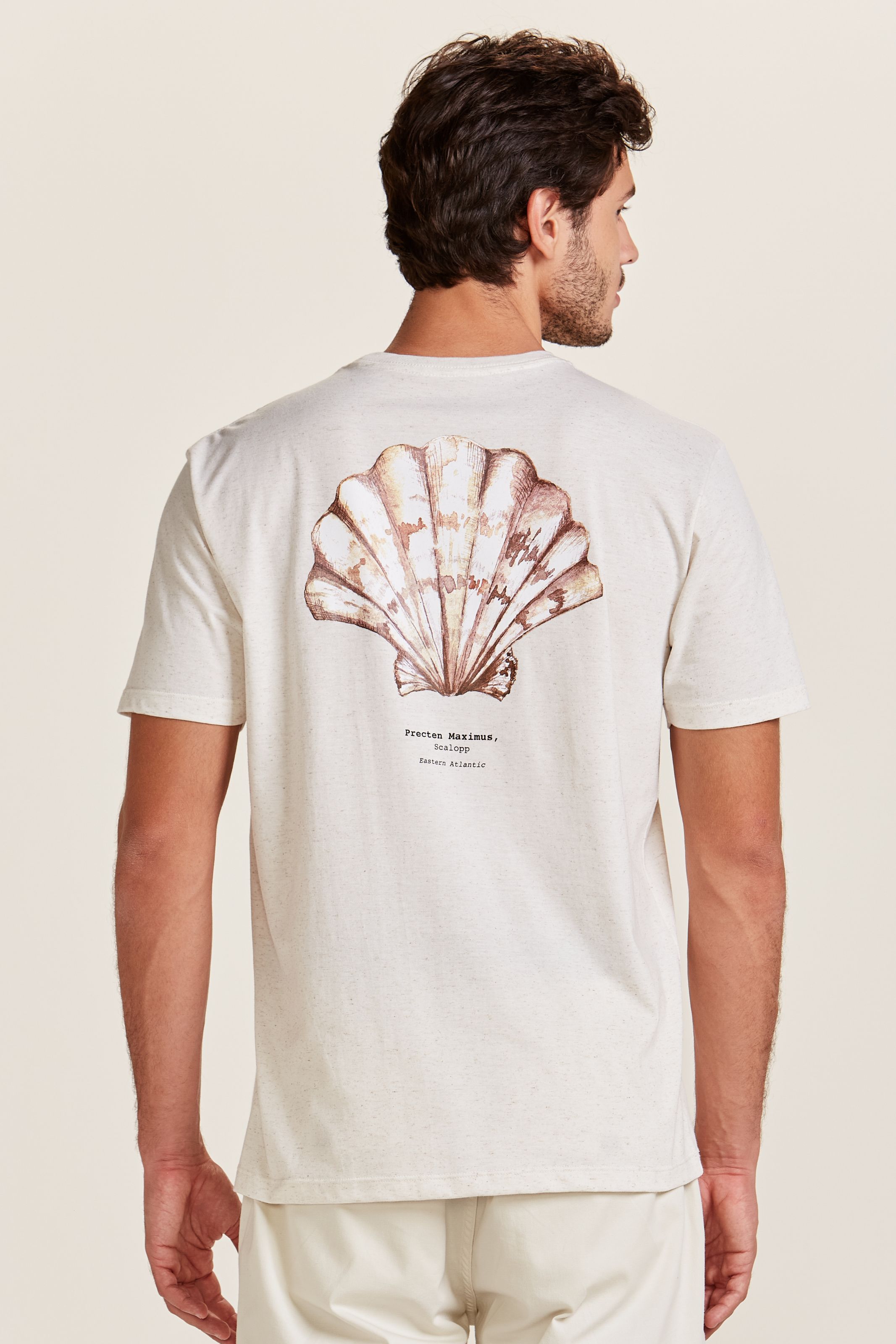 Camiseta Masculina Concha Natural | Zapälla